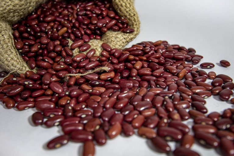 Frijol – Rojo – Multigranos Bonanza